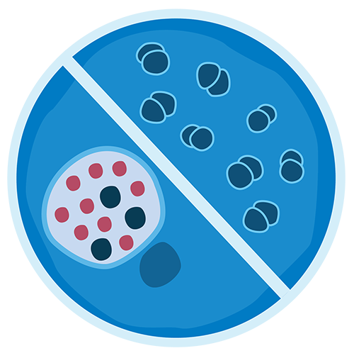 Canadian Task Force on Preventive Health Care | Public